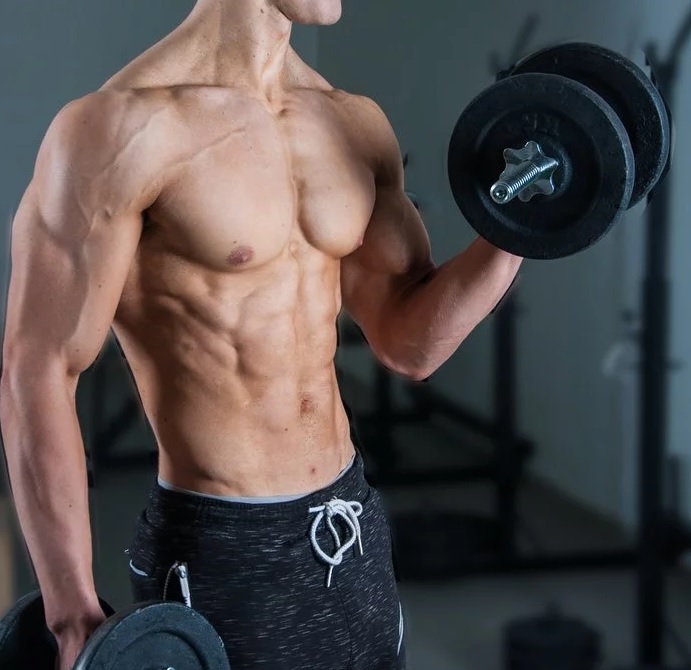 Les meilleur exercices pour travailler ses biceps avec des haltères